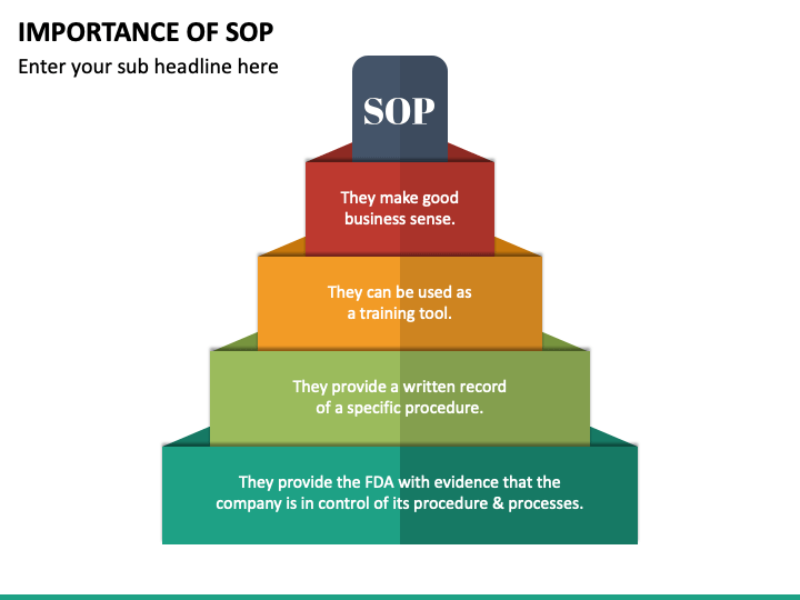 Importance of SOP PowerPoint and Google Slides Template - PPT Slides