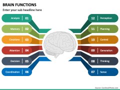 Brain Functions PowerPoint and Google Slides Template - PPT Slides