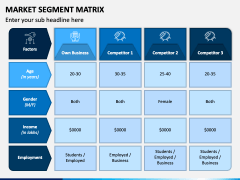 Market Segment Matrix PowerPoint and Google Slides Template - PPT Slides