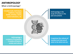 Anthropology PowerPoint and Google Slides Template - PPT Slides