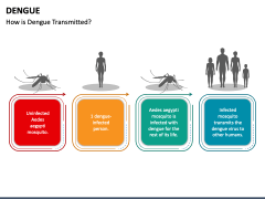 Dengue PowerPoint and Google Slides Template - PPT Slides