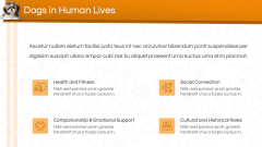 Free - Dog Presentation for PowerPoint and Google Slides - PPT Slides