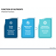 Micronutrients PowerPoint Template - PPT Slides