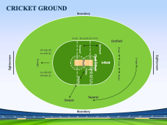 Free Cricket PowerPoint Template and Google Slides Theme