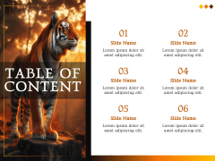 Free - Project Tiger in India PowerPoint Template and Google Slides Theme