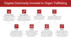 Organ Trafficking PowerPoint and Google Slides Template - PPT Slides
