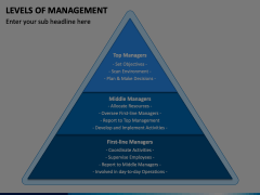 Levels of Management PowerPoint and Google Slides Template - PPT Slides
