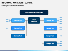 Information Architecture PowerPoint and Google Slides Template - PPT Slides