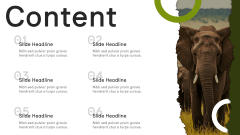 Free - Wildlife Presentation for PowerPoint and Google Slides - PPT Slides