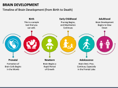 Brain Development PowerPoint and Google Slides Template - PPT Slides