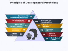 Developmental Psychology PowerPoint and Google Slides Template - PPT Slides