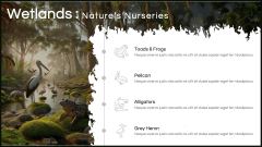 Free - Animal Habitats Presentation for PowerPoint and Google Slides ...