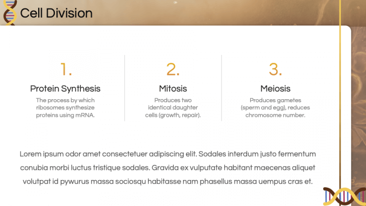 Free - Cell Biology Theme for PowerPoint and Google Slides - PPT Slides