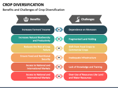 Crop Diversification PowerPoint and Google Slides Template - PPT Slides