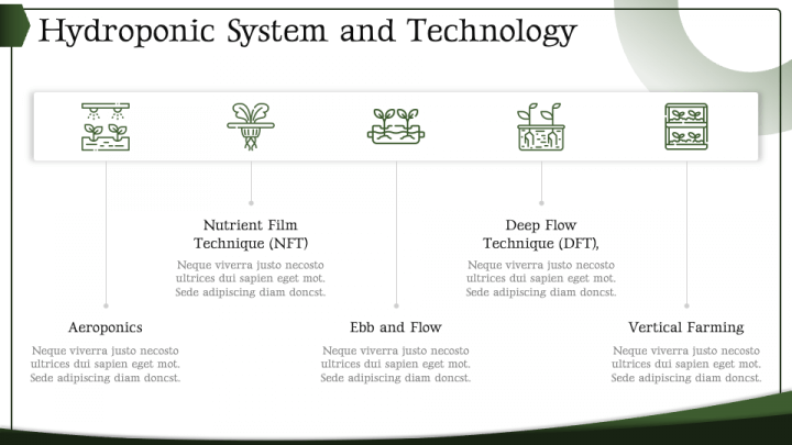 Hydroponic Farming Business Plan PowerPoint and Google Slides Template
