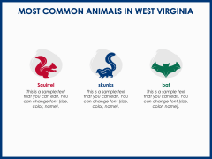 Free - West Virginia Day PowerPoint Template and Google Slides Theme