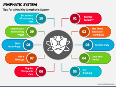 Lymphatic System PowerPoint and Google Slides Template - PPT Slides