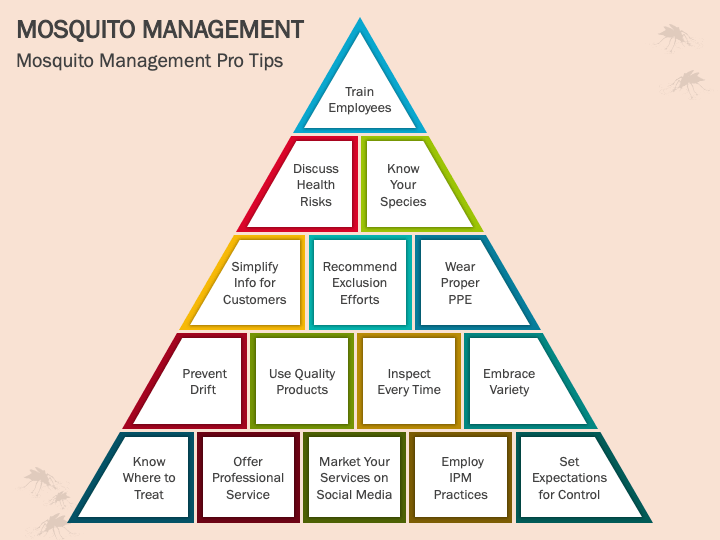 Mosquito Management PowerPoint and Google Slides Template - PPT Slides