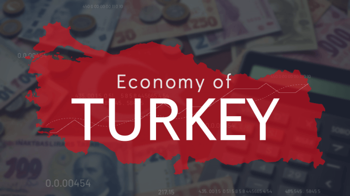 Free - Economy of Turkey PowerPoint and Google Slides Template - PPT Slides