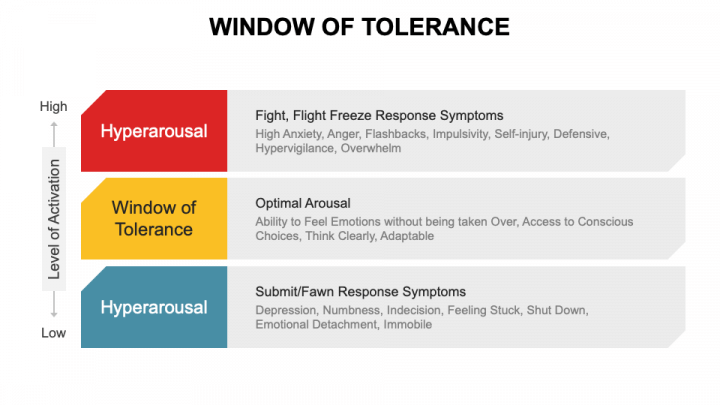 Window of Tolerance PowerPoint and Google Slides Template - PPT Slides