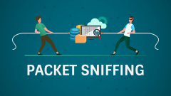 Packet Sniffing PowerPoint and Google Slides Template - PPT Slides