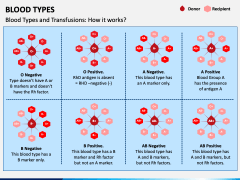 Blood Types PowerPoint and Google Slides Template - PPT Slides