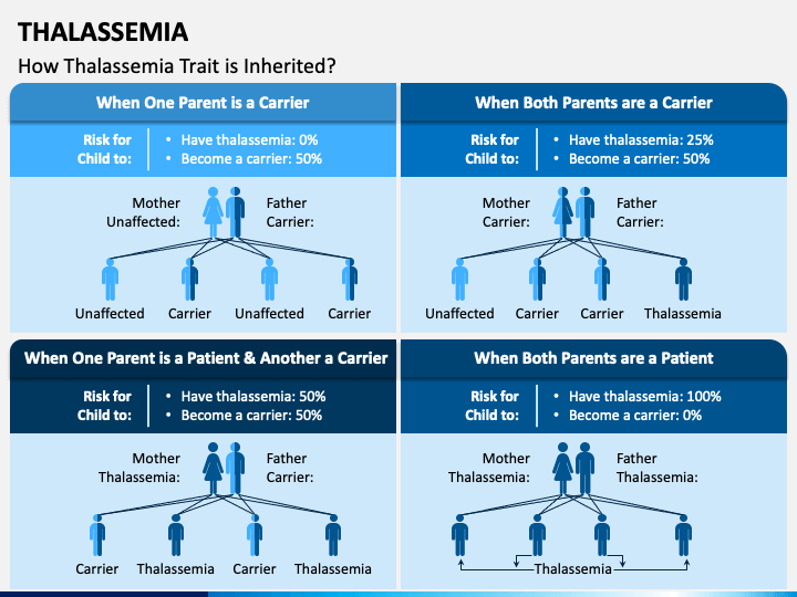 Thalassemia PowerPoint and Google Slides Template - PPT Slides