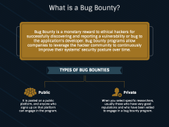 Bug Bounty PowerPoint and Google Slides Template - PPT Slides