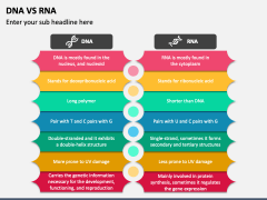 DNA Vs RNA PowerPoint and Google Slides Template - PPT Slides