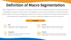 Macro Segmentation PowerPoint and Google Slides Template - PPT Slides