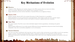 Theories of Evolution PowerPoint and Google Slides Template - PPT Slides