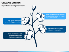 Organic Cotton PowerPoint and Google Slides Template - PPT Slides