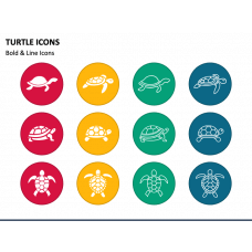 Free - World Turtle Day PowerPoint Template and Google Slides Theme