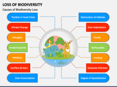 Loss of Biodiversity PowerPoint and Google Slides Template - PPT Slides