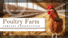 Poultry Farm Company Presentation PowerPoint and Google Slides Template ...