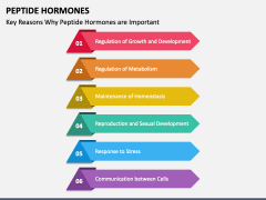 Peptide Hormones PowerPoint and Google Slides Template - PPT Slides