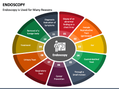 Endoscopy PowerPoint and Google Slides Template - PPT Slides