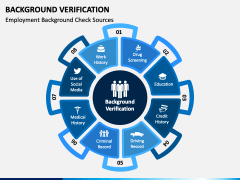 Background Verification PowerPoint and Google Slides Template - PPT Slides