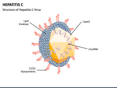 Hepatitis C PowerPoint and Google Slides Template - PPT Slides