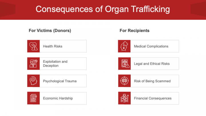Organ Trafficking PowerPoint and Google Slides Template - PPT Slides