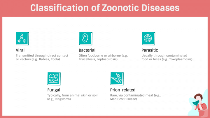 Zoonotic Diseases PowerPoint and Google Slides Template - PPT Slides