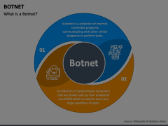 Botnet PowerPoint and Google Slides Template - PPT Slides