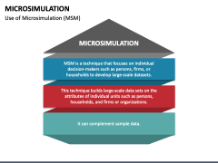 Microsimulation PowerPoint and Google Slides Template - PPT Slides