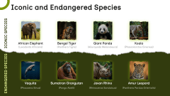 Free - Wildlife Presentation for PowerPoint and Google Slides - PPT Slides