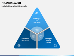 Financial Audit PowerPoint and Google Slides Template - PPT Slides