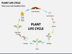 Plant Life Cycle PowerPoint and Google Slides Template - PPT Slides