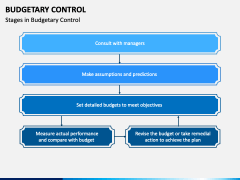 Budgetary Control PowerPoint and Google Slides Template - PPT Slides