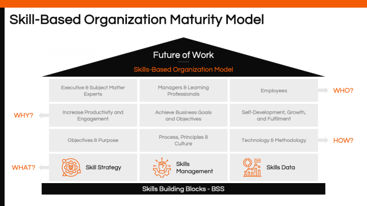 Skill Based Organization PowerPoint and Google Slides Template - PPT Slides