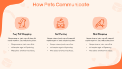 Free - Pet Presentation Theme for PowerPoint and Google Slides - PPT Slides