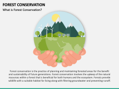 Forest Conservation PowerPoint and Google Slides Template - PPT Slides